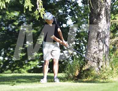 Crowe wins Heart golf tourney - Marysville Journal Tribune