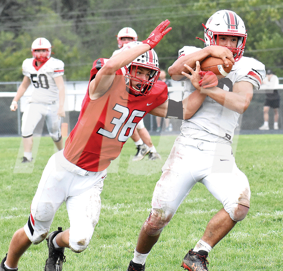 Fairbanks Panthers will host Mechanicsburg to begin four-game stretch ...