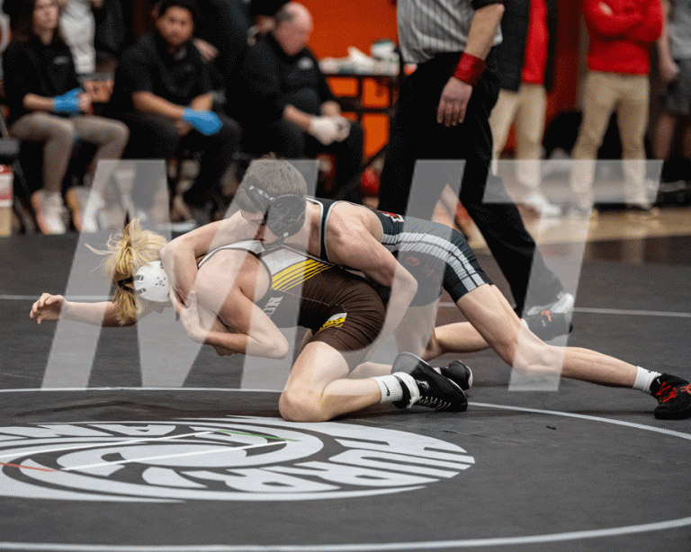 Jonathan Alder’s Watson wins D-II district title; trio of Pioneers ...