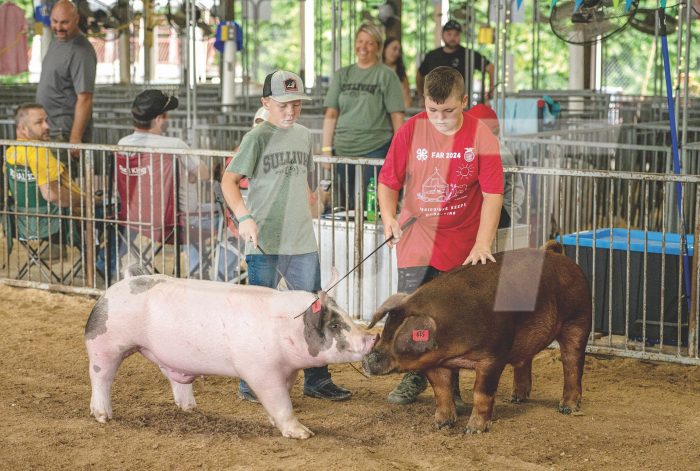 Pigheaded pair - Marysville Journal Tribune