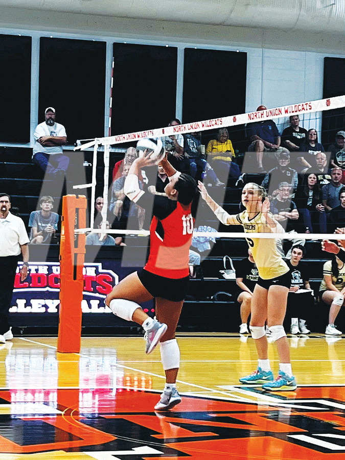 NU’s Harrah sets school mark for volleyball assists - Marysville ...