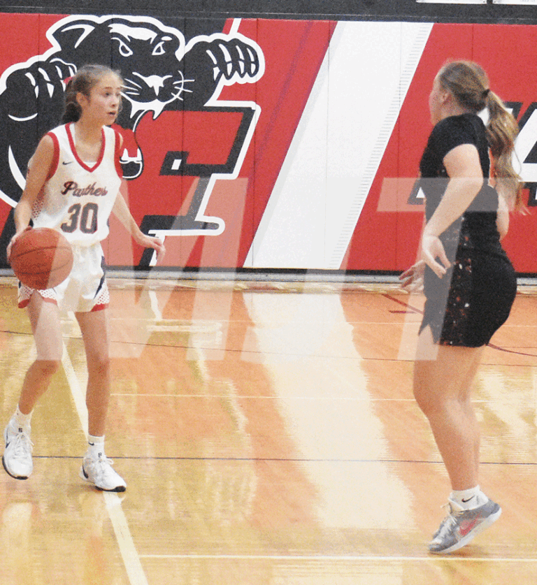 Alder looks to renew income tax - Marysville Journal Tribune